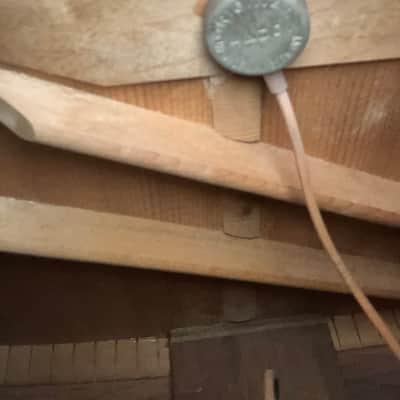 1970s Morris W100D B. Rosewood Jacaranda Body, Tree of | Reverb Canada