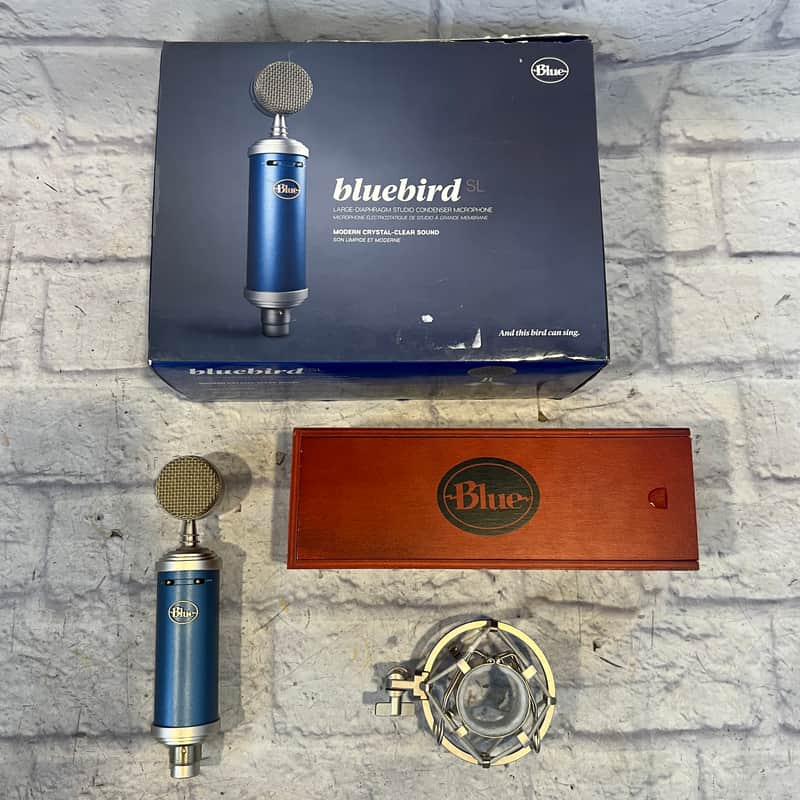 Blue Bluebird Microphone | Reverb