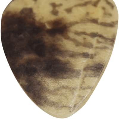 Real Turtle Shell Guitar Pick Tortoise Shell guitar pick tone | Reverb
