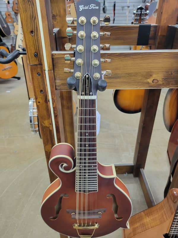 Gold Tone F-10 10 String Mandolin w/Case (FREE Shipping!) | Reverb