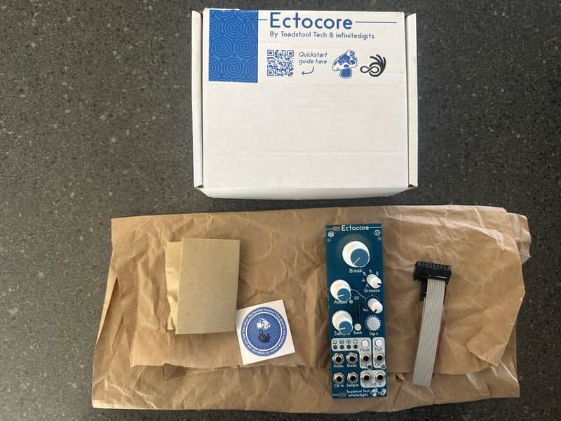 InfiniteDigits x Toadstool Tech Ectocore - Blue | Reverb