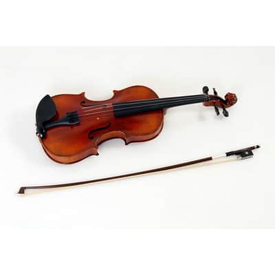 Ren Wei Shi Academy II Series Violin Outfit Regular 1/2 | Reverb