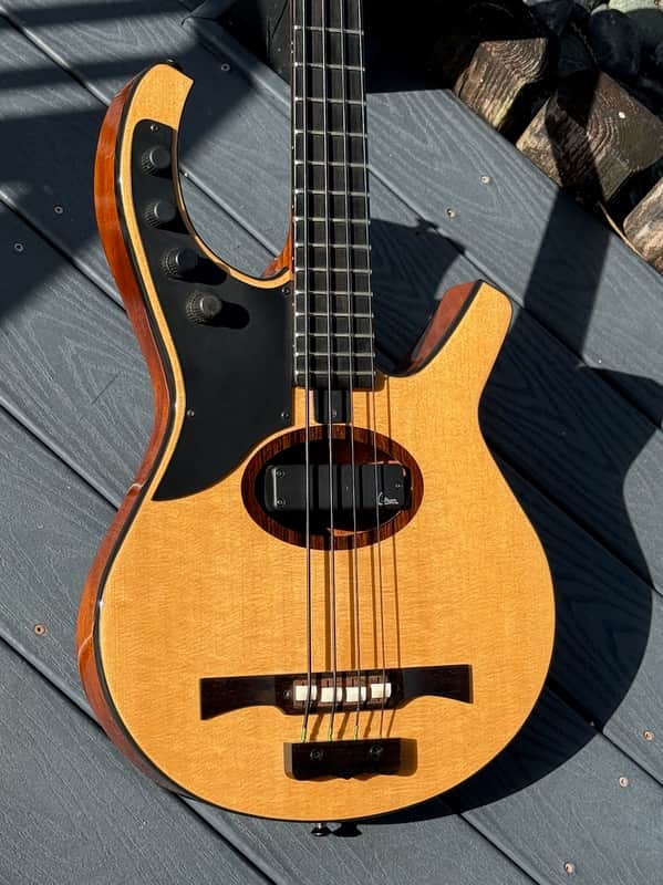 Citron AE-4 Swallow Bass 2009 - killer all around invention | Reverb