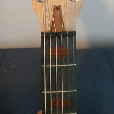 Deering GOODTIME SIX-R six string banjo | Reverb
