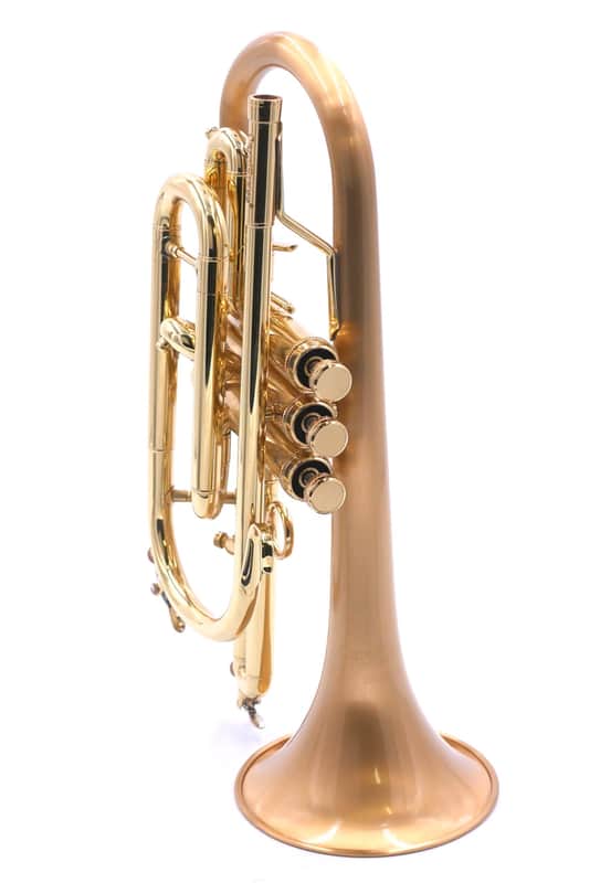 Carolbrass CCR-3880-GSS-Bb Cornet with Satin Bell | Reverb Australia