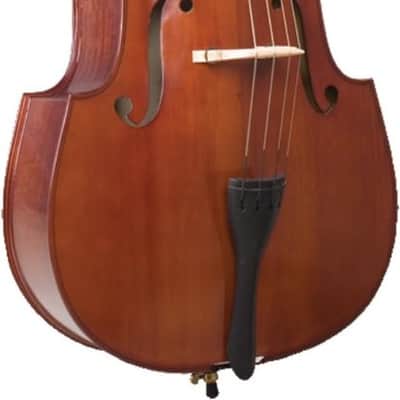 Palatino VB-029 Bergamo Solid Hand-Carved Upright Bass + | Reverb