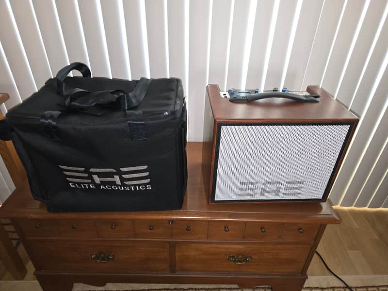 Elite Acoustics EAE D6-58 120W Acoustic Amplifier with LFP | Reverb