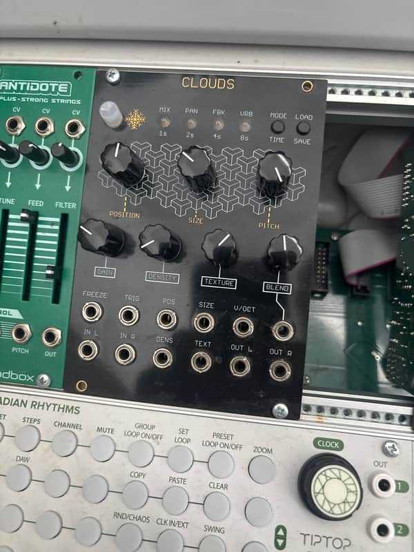 Mutable Instruments Clouds (Momo Modular) + Parasites | Reverb