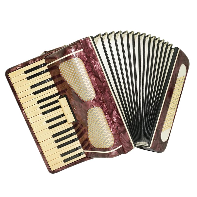 Octava Piano Accordion 80 Bass, made in Russia, New Straps, | Reverb