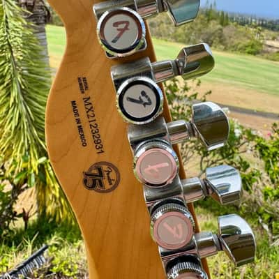 Fender Player Plus Nashville Telecaster with Pau Ferro | Reverb Canada