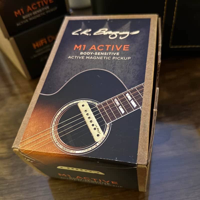 LR Baggs M1A Active Soundhole Pickup with Volume Control | Reverb