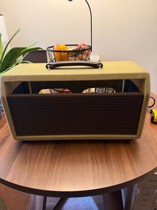 Tyler Amp Works Princeton Size Head Shell | Reverb