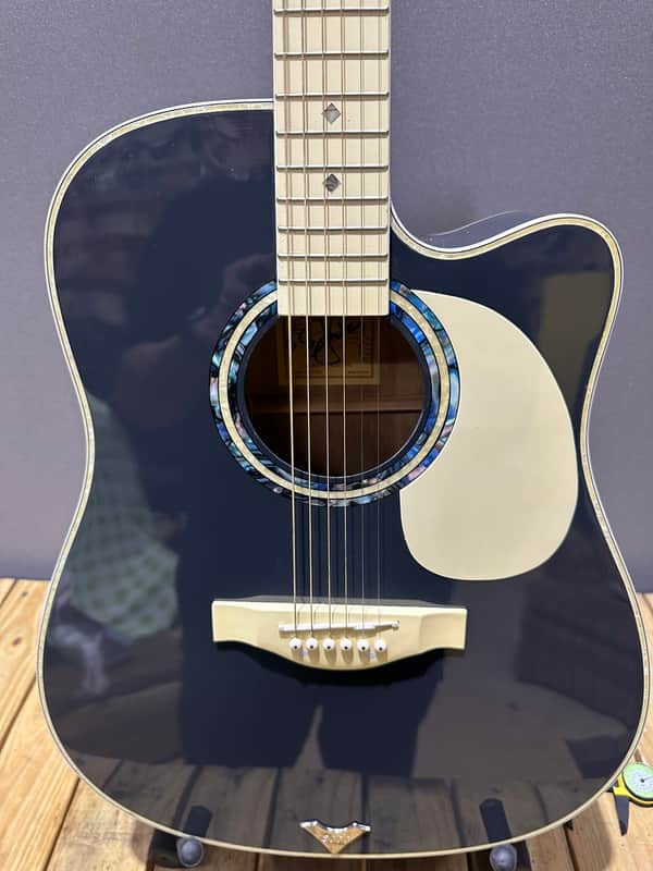 Esteban American legacy acoustic single cut 2008 | Reverb