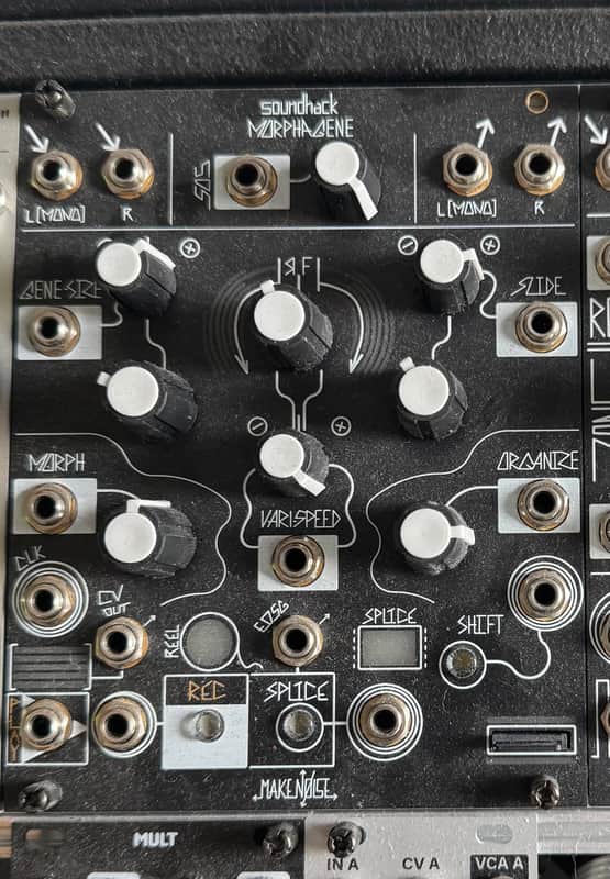 Make Noise Morphagene Module 2008 - Present - Black | Reverb