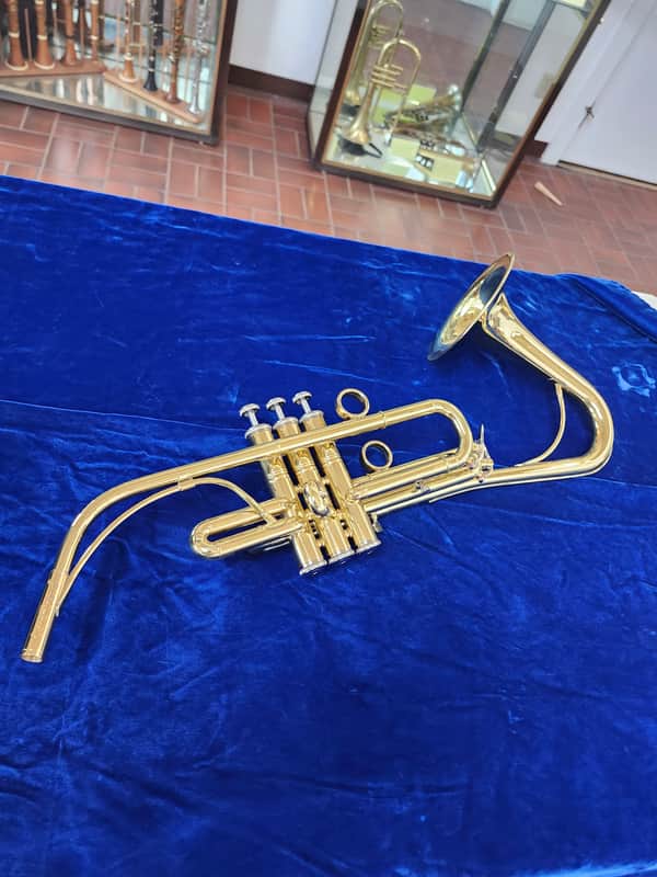 New Carol Brass Saxy Trumpet Bb/G/F - L - Lacquer | Reverb Canada