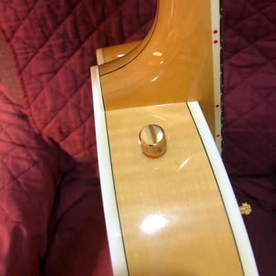BEAUTIFUL & RARE “MINT” 2008 “125th Anniversary” Gretsch | Reverb