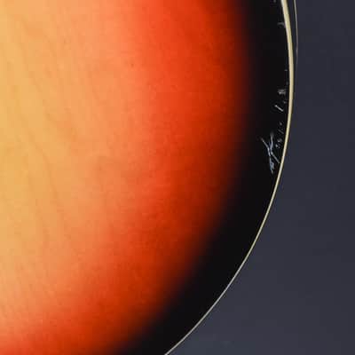 Fender USED Allegro 5 String Banjo '70s | Reverb