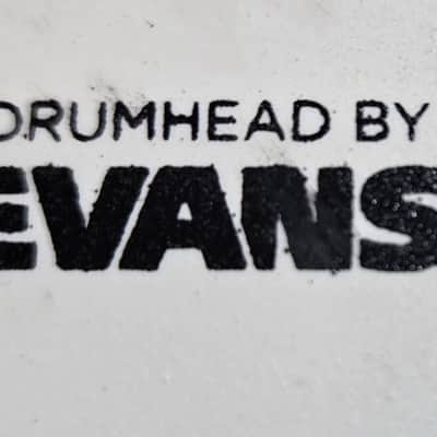 Evans 13" Coated Drum Head w/ Ludwig Logo | Reverb