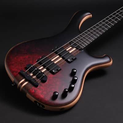 Mayones Viking 2026 - Vampire Lord Red Custom Colour | Reverb