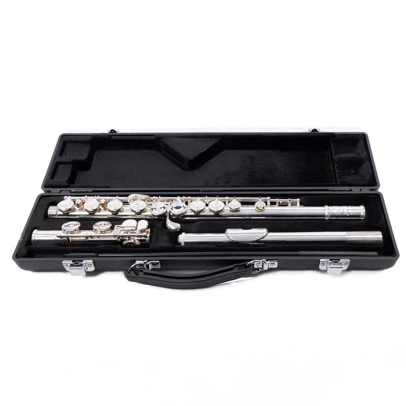 Selmer Model SFL301 Closed Hole Student Flute SN J0925008 | Reverb