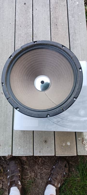 CTS 15' guitar speaker 1960s - Black | Reverb