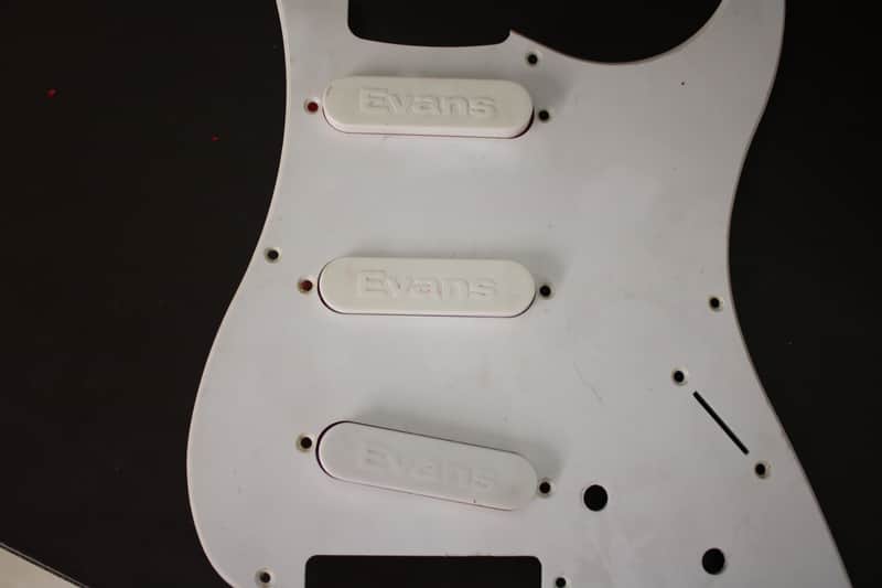 Evans Eliminator Pickups - SSS | Reverb