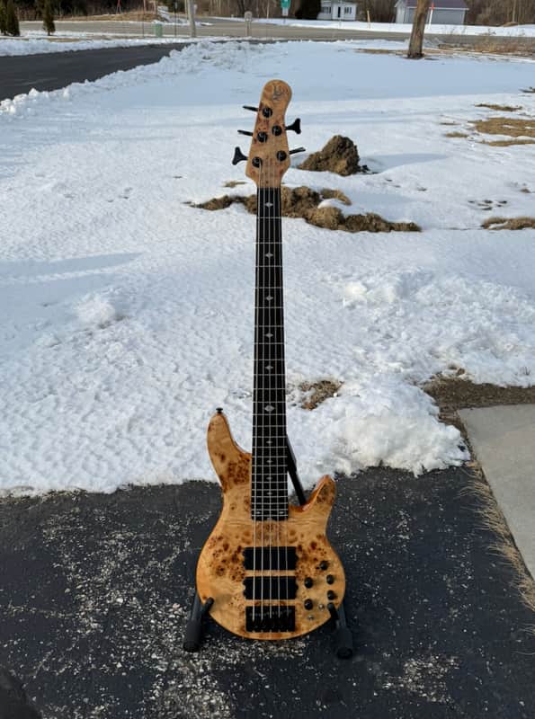 Michael Kelly Pinnacle 5-String Bass (2025) Natural Burl | Reverb