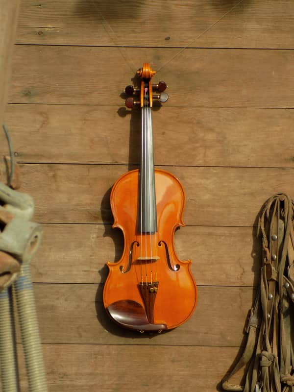 Handmade Master Grade Violin for the Soloist Level Player | Reverb