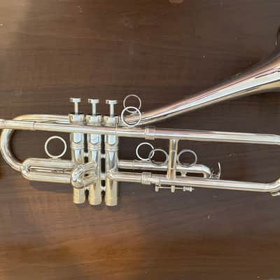 BerkeleyWind French Horn FireBird Trumpet w/Trombone EZ | Reverb