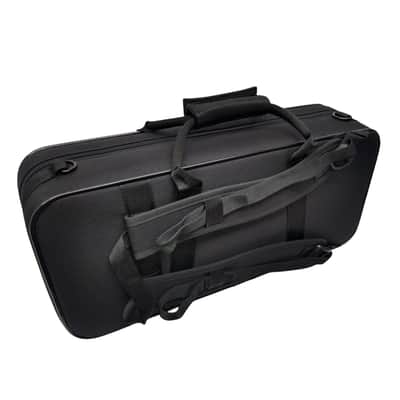 Schiller Elite Frankfurt Custom Silver/Gold Plated Flash | Reverb