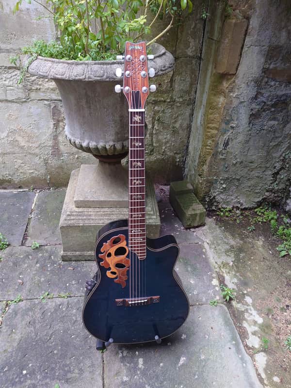Washburn Sundance 1980s | Reverb