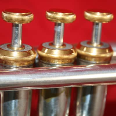 Stomvi V-Raptor Bb trumpet 2001 Silver | Reverb