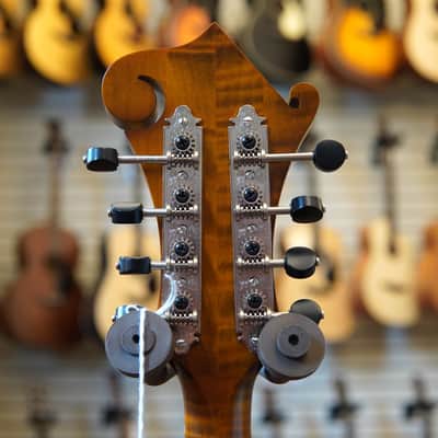 Northfield NFS-F5 F-Style F5 Standard Mandolin Amber w/Wide | Reverb