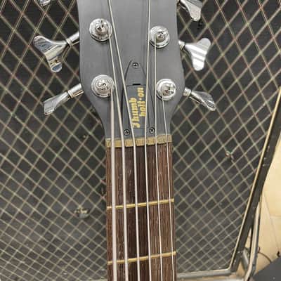Warwick 6 String Thumb Bass Bolt On "96 w Hardcase | Reverb