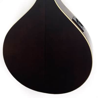Fender FMO-66 Octave Mandolin - fair, w/OHSC and electronics | Reverb