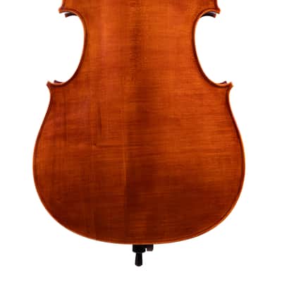 Testore Cello 4/4 from One Piece Back – Hand-Made in Romania | Reverb