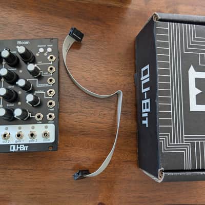 Qu-Bit Electronix Bloom 2019 - Present Black | Reverb