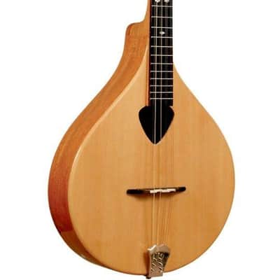 Gold Tone Model BZ-500 8-String Irish Bouzouki Mandolin with | Reverb