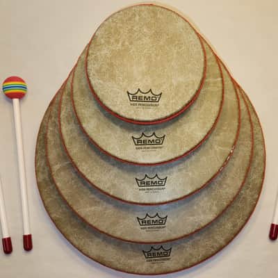 Remo Kid's Percussion Hand Drum Set (5 drums, 5 mallets) - | Reverb