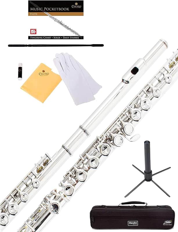 Mendini By Cecilio Closed Hole C Flute For Beginners, 16-Key | Reverb