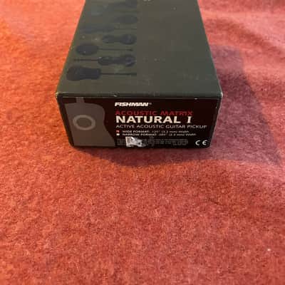 Fishman Acoustic Matrix Natural I | Reverb