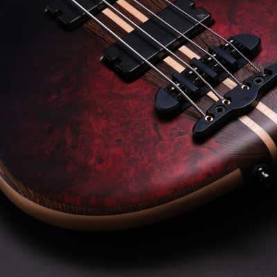 Mayones Viking 2026 - Vampire Lord Red Custom Colour | Reverb
