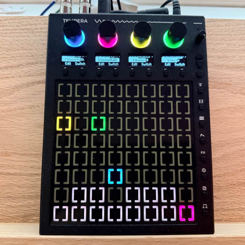 Beetlecrab Tempera Granular Synthesizer | Reverb