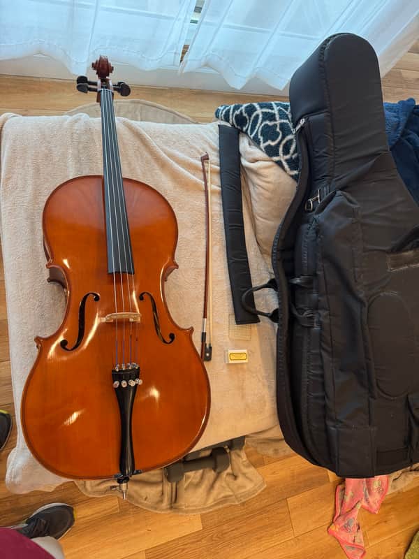 Peter Steinhaus Cello N1 1997 | Reverb