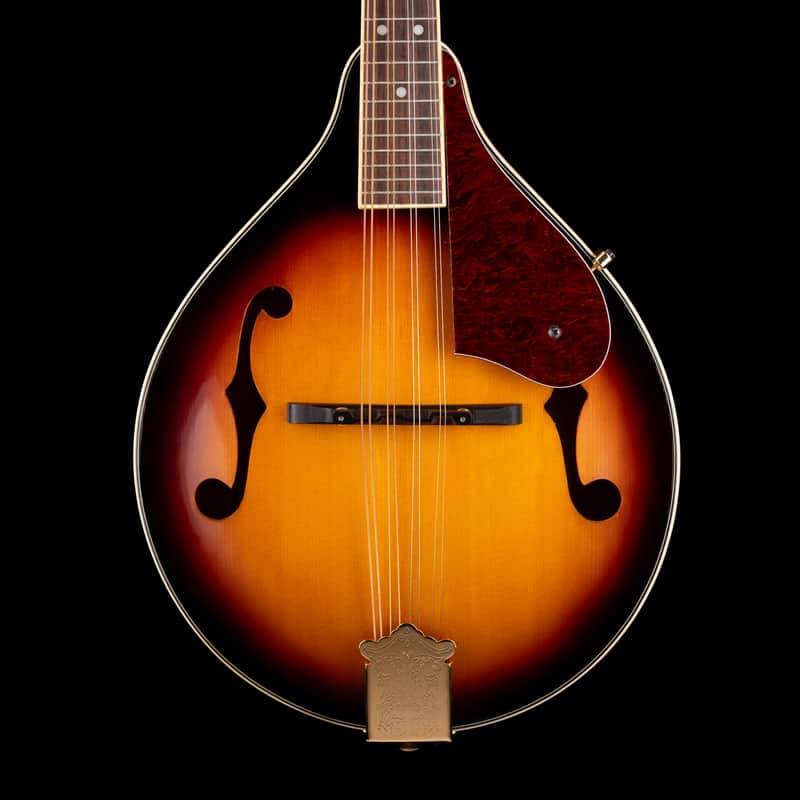 Used Fender FM-53S Mandolin Sunburst With Gig Bag | Reverb