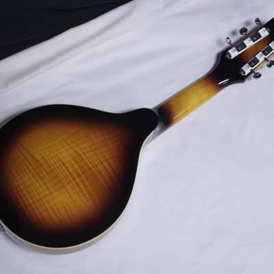 GOLD TONE GM-6 6-string Mandolin style GUITAR new GM6 Solid | Reverb