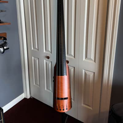 NS Design NXTa Electric Upright Bass | Reverb