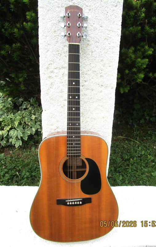 Augustino AR-38 Guitar, Dreadnought, Rosewood, Clearwater, | Reverb