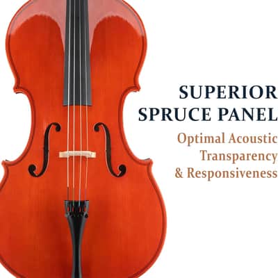 4/4 Full Size Cello, Beginner Cello 4/4, Acoustic Cello Set | Reverb