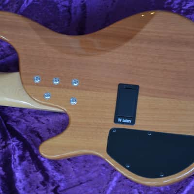 IBANEZ RD905 FM professional active 5-String Bass*rare | Reverb Canada